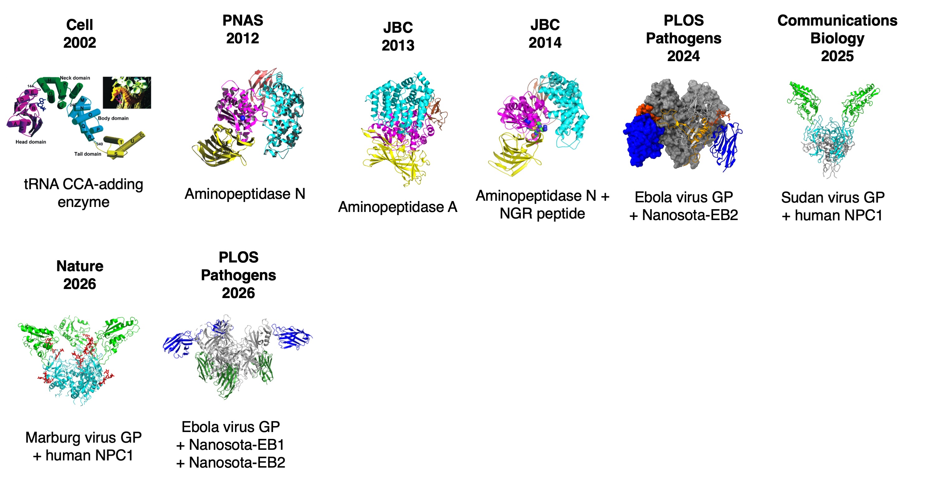 Li Lab Research | Laboratory of Structural Biology of Disease